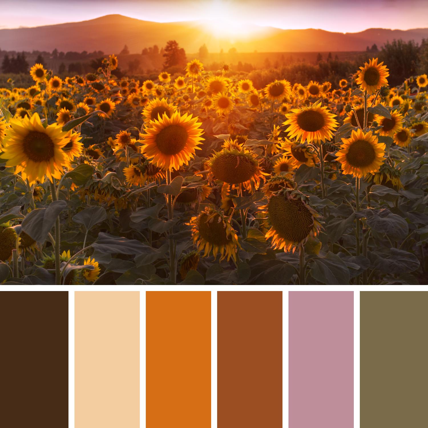 ColorSwatches.info :: Color Playground : Hex Codes, RGB, CMYK, HSL, HSV